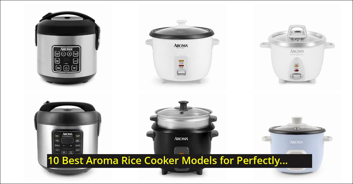 10 Best Aroma Rice Cooker Models for Perfectly Cooked Rice - 2025