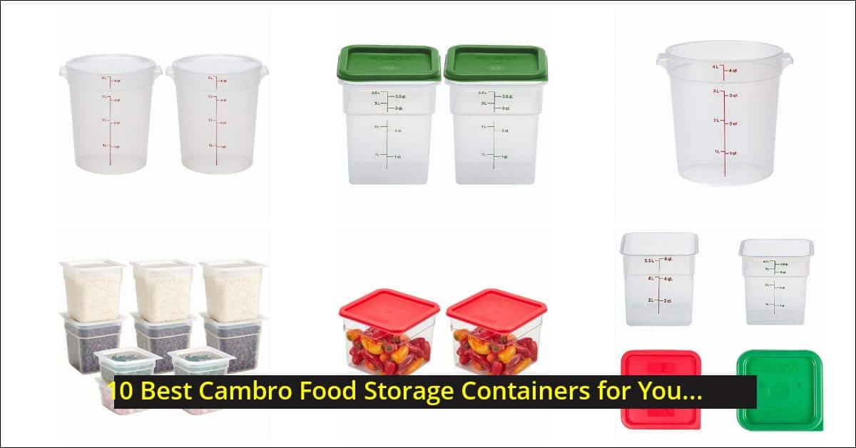 10 Best Cambro Food Storage Containers for Your Kitchen - 2025