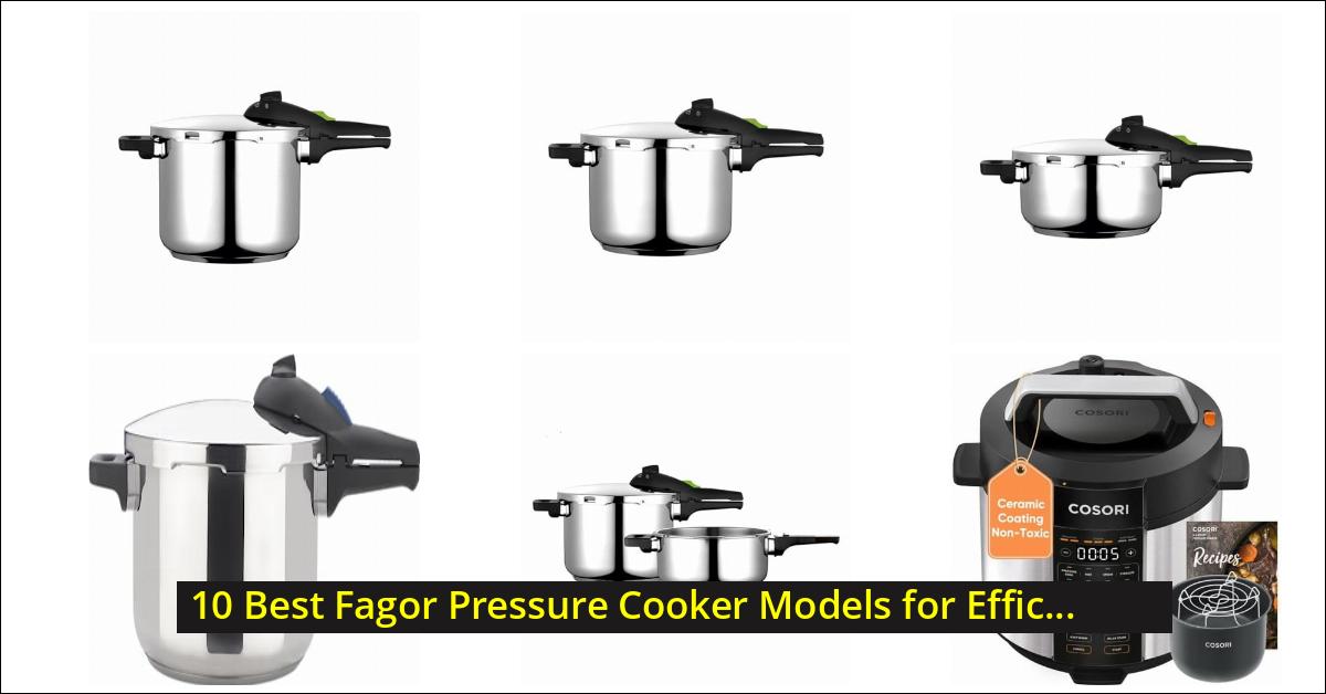 10 Best Fagor Pressure Cooker Models for Efficient Cooking - 2025
