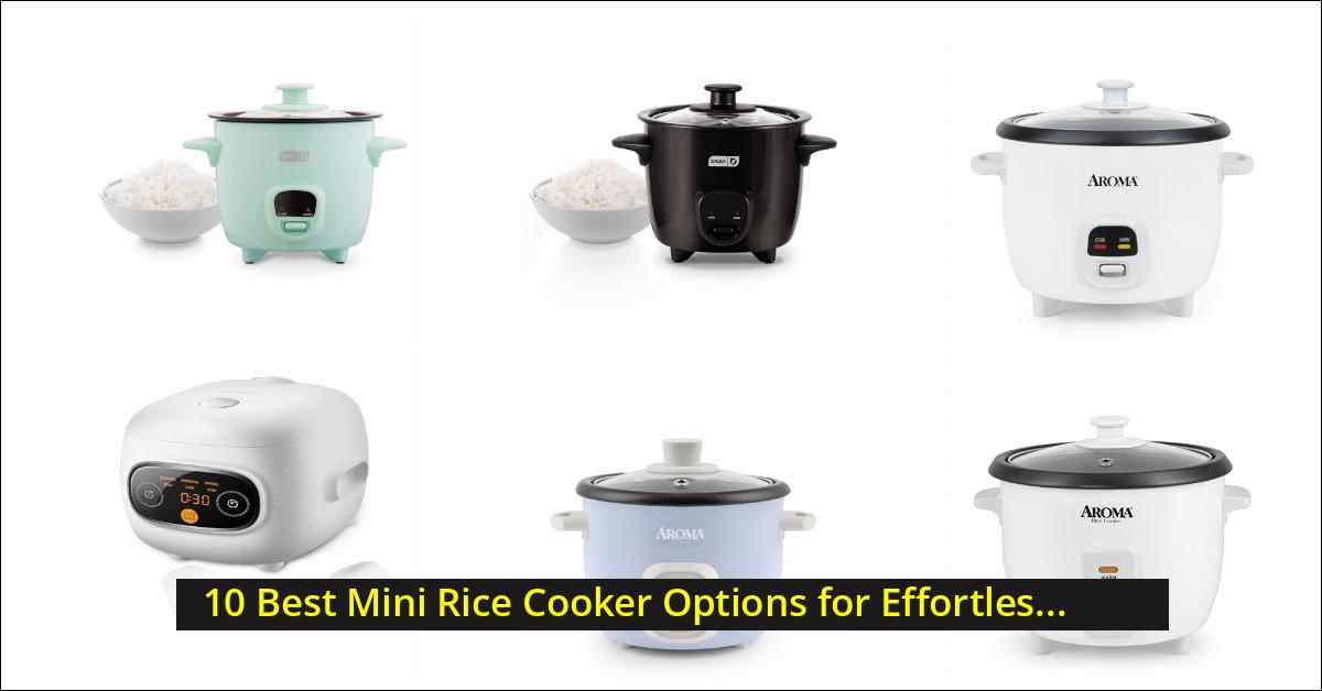 10 Best Mini Rice Cooker Options for Effortless Cooking - 2025