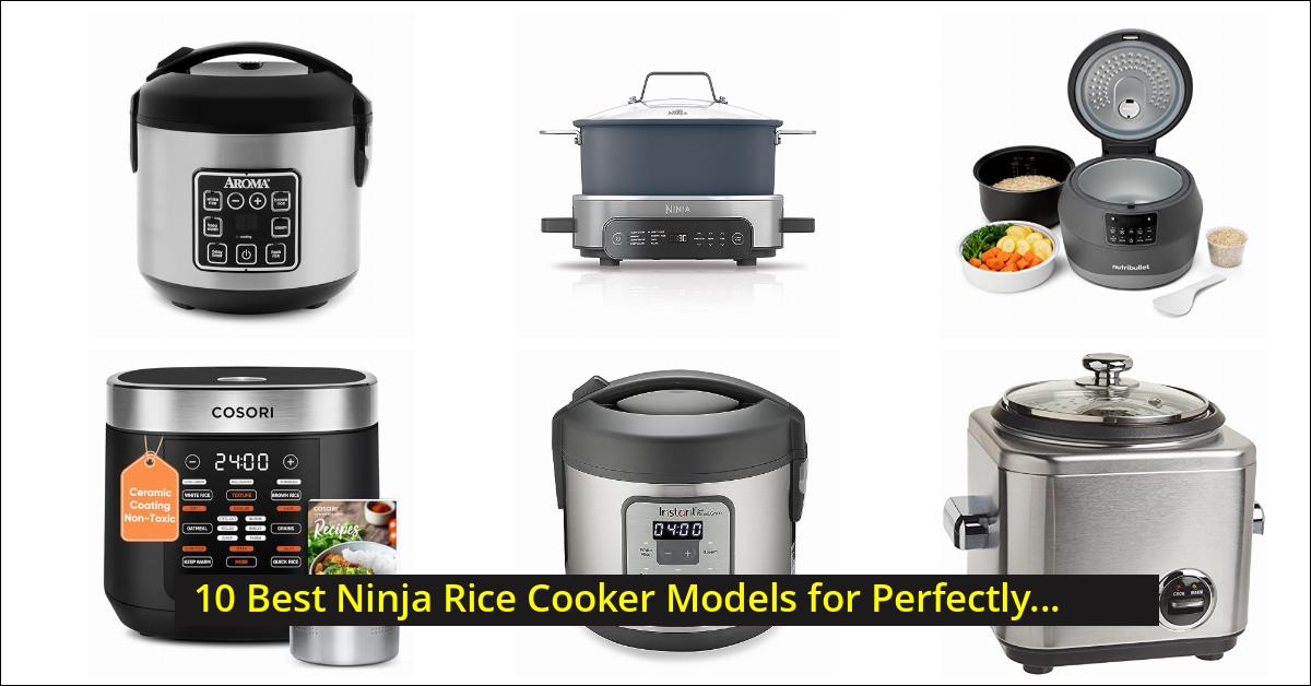 10 Best Ninja Rice Cooker Models for Perfectly Cooked Rice - 2025