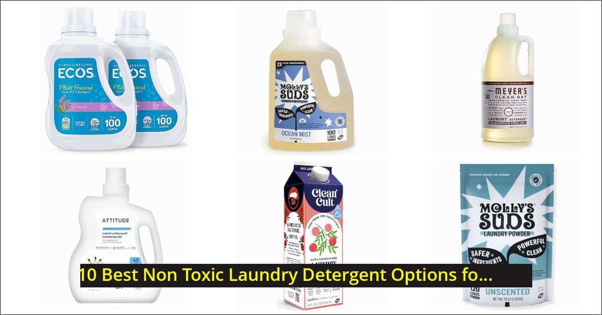 10 Best Non Toxic Laundry Detergent Options for Your Home - 2025