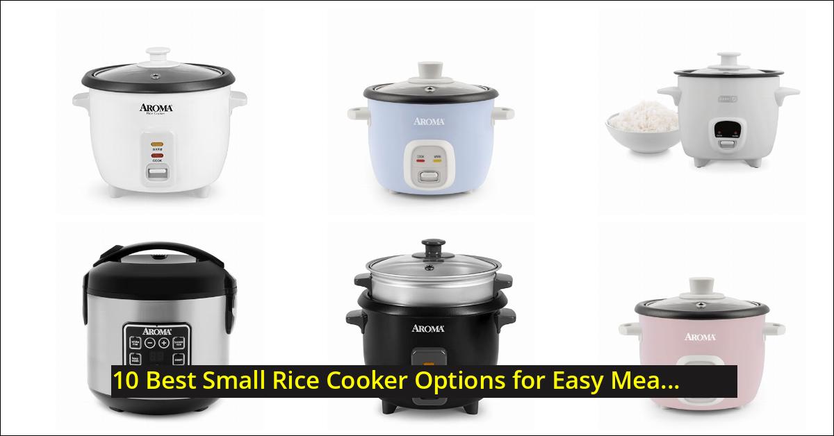10 Best Small Rice Cooker Options for Easy Meal Prep - 2025