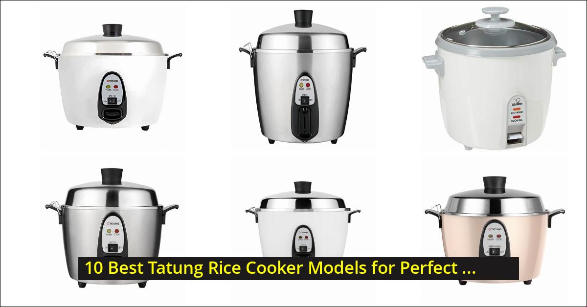 10 Best Tatung Rice Cooker Models for Perfect Rice Every Time - 2025