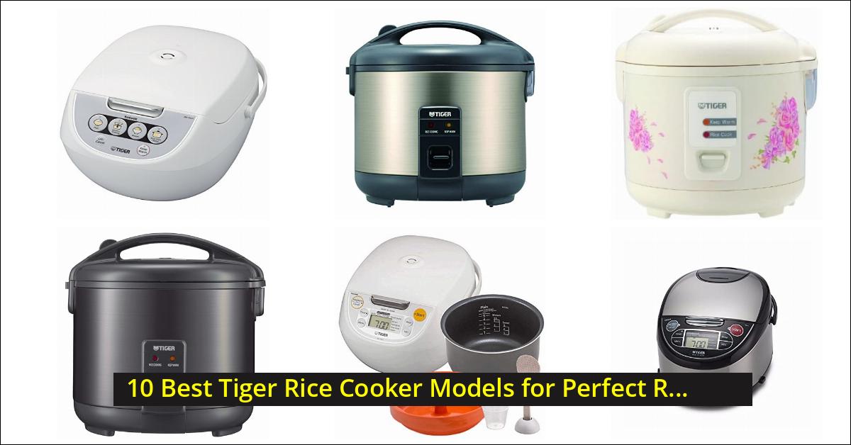 10 Best Tiger Rice Cooker Models for Perfect Rice Every Time - 2025