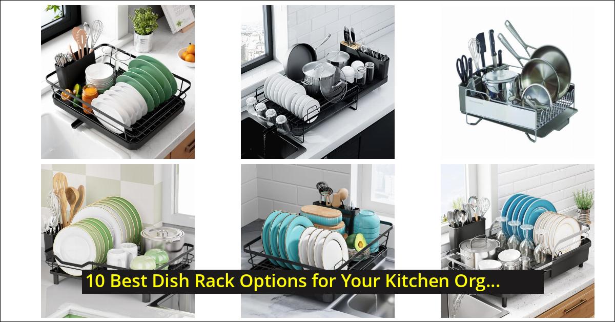 10 Best Dish Rack Options for Your Kitchen Organization - 2025