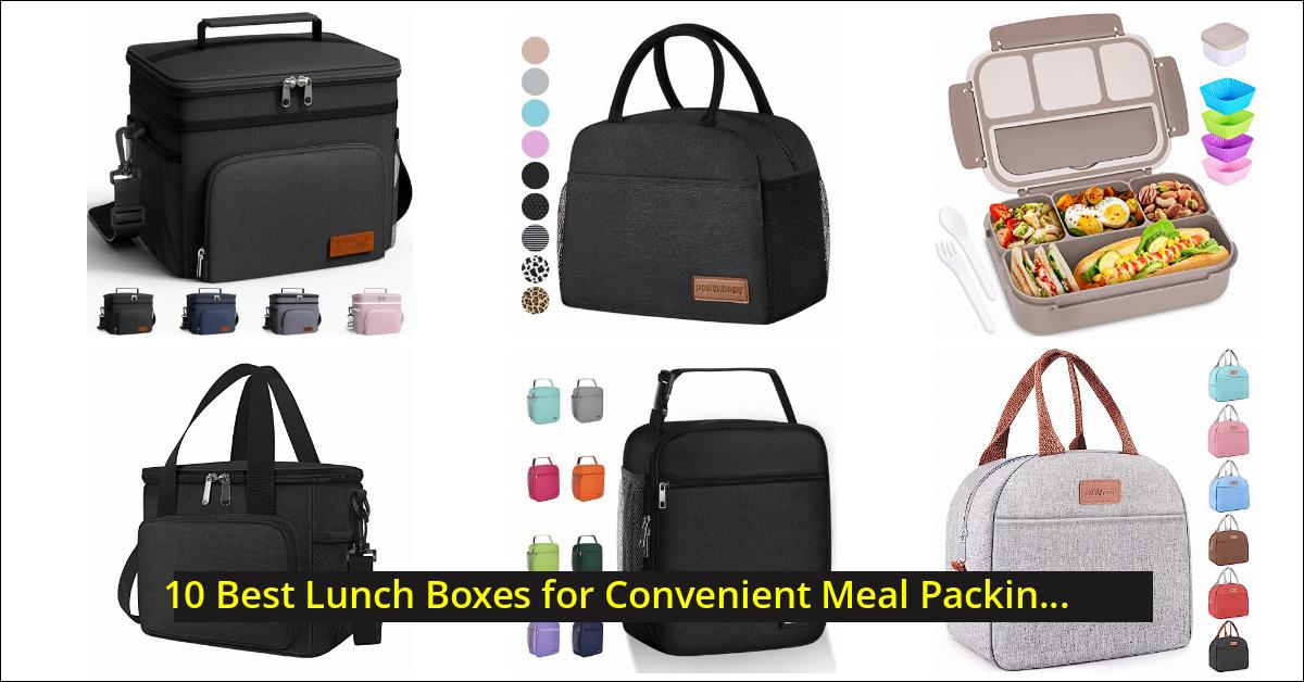 10 Best Lunch Boxes for Convenient Meal Packing - 2025