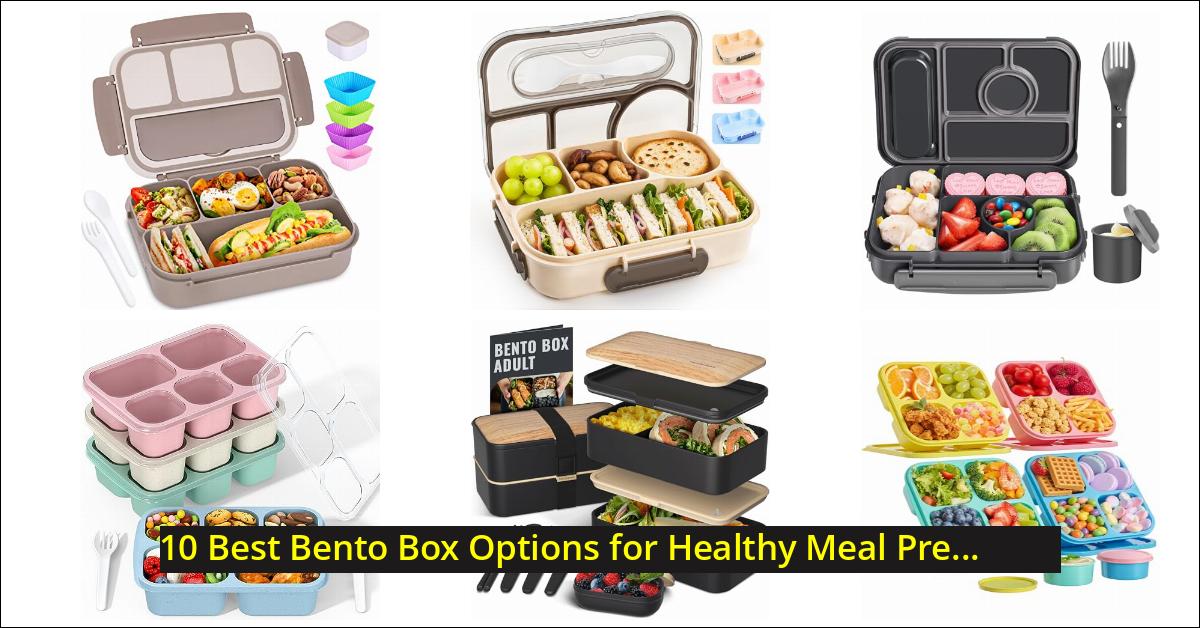 10 Best Bento Box Options for Healthy Meal Prep - 2025