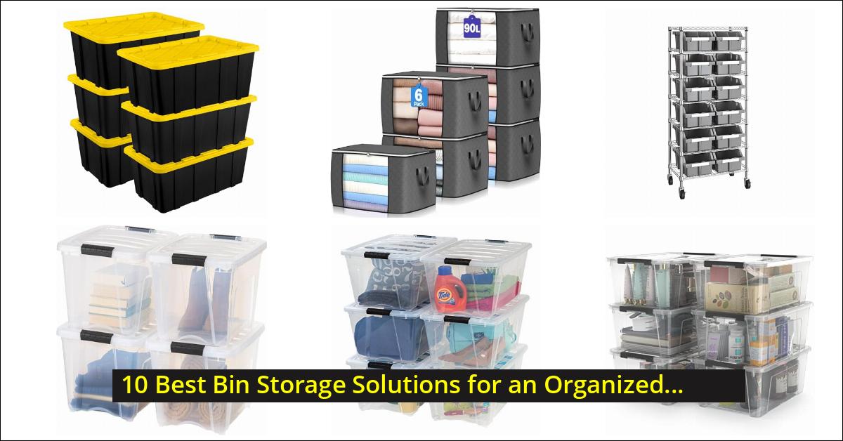 10 Best Bin Storage Solutions for an Organized Home - 2025