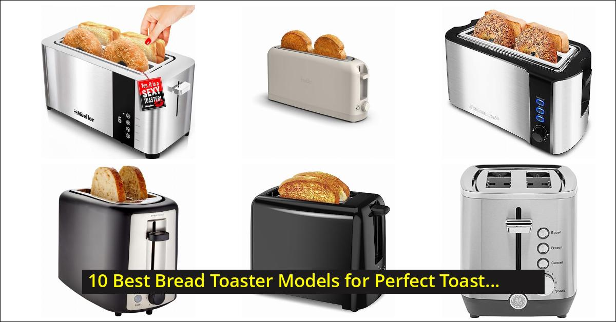 10 Best Bread Toaster Models for Perfect Toast Every Time - 2025