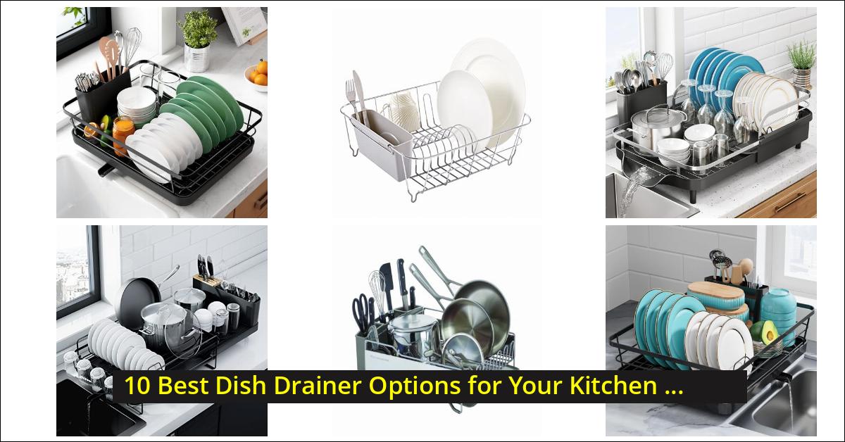 10 Best Dish Drainer Options for Your Kitchen Sink - 2025