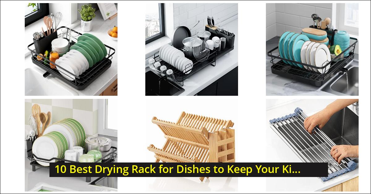10 Best Drying Rack for Dishes to Keep Your Kitchen Organized - 2025